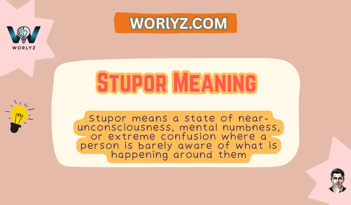 Stupor Meaning Made Easy for Quick Understanding - worlyz.com